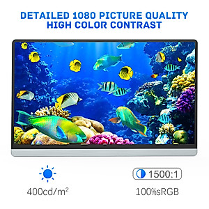 INOO Portable Monitor for Laptop, 16.1'' FHD 1080P USB-C Travel Monitor External IPS HDMI for Computer, Second Display Screen Extender with Kickstand for PC MacBook Phone Xbox Switch PS4/5