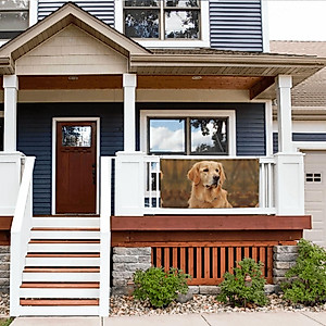 Golden Retriever Banner Wall Hanging Backdrop Banner Large Party Banner Sign Poster Medium Party Backdrops For New Year Graduation Wedding Birthday Party Decor