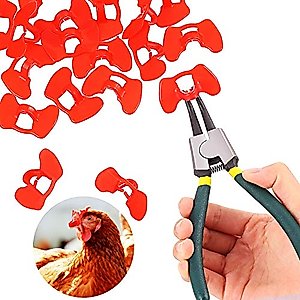 Boao 61 Pieces Pinless Peepers for Chicken Peepers Pheasant Poultry Blinders Spectacles Anti Pecking Eyeglasses Tool for Pet Middle