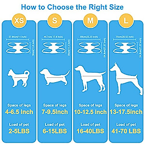 Dog Grooming Hammock, Pet Grooming Harness for Dogs&Cats, Multi Hammock Restraint Bag with Adjustable Grooming Loop/Stainless D-Hooks/Nail Clippers/Trimmer/Nail File for Pet Nail Trimming, Care (S)