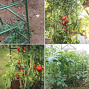100 Pieces Stake Arms for Tomato Cage Expandable Trellis Connectors Plant Support Garden Stakes 12.6” Garden Plants Stake Arms Fit for 16mm Stakes