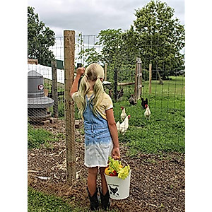 Chicken Scraps Bucket to collect your leftover food to feed your hens, roosters, feathered ladies, chicken friends chicks, free-ranged chickens, roos, or whatever you call your chickens (Chicken)