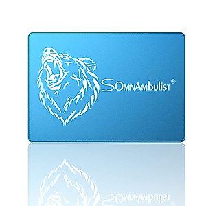 Somnambulist Laptop/Desktop SSD 2.5" SATA3 120gb 240gb 60gb SSD Solid State (Blue Bear-120GB)