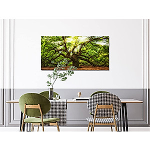 Conipit Landscape Canvas Artwork Angel Oak Tree Picture Prints Sunshine Through Tree Canvas Green Oak Tree Painting South Carolina Tree Print Framed and Stretched Nature Canvas (W-40xH-20)