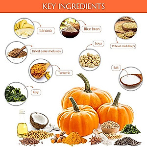 Kelcies Limited Spice Horse Treats Bag | Premium All Natural Treats | Starch and Carbohydrates | Tasty Horse Treats Packed with Superfoods | Low Sugar Treats | Suitable for Horses with Cushing's-5lbs