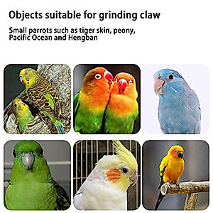 HBaby Parrot Perch Stand Toy Wooden Bird Perch Stand Birds Paw Grinding Rough-surfaced Stick Cage Accessories for Cockatiels,Cockatoo,Lorikeet,Random Color