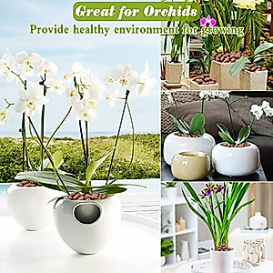 ZeeDix 2LB Expanded Clay Pebbles for Plants, 3QT 4mm-16mm Leca Balls Clay Aggregate Grow Media, Natural Organic Clay Pebbles for Hydroponic, Gardening, Orchids, Decoration, Aquaponics