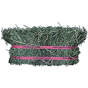 Grandpa's Best Alfalfa Hay, 5 lbs