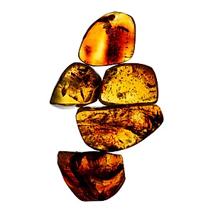 Derek Lam 10 Crosby 2AM Kiss, Eau De Parfum, Amber and Woody Scent, Perfume for Women, Mini Spray Vial, 0.33 Oz