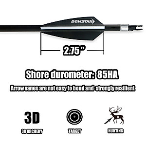 BOWSOUL 30inch Hunting Carbon Archery Arrows with 2.75” High Hardness Vanes Spine 400 for Compound Bow and Recurve Bow (Black White&Broadheads)