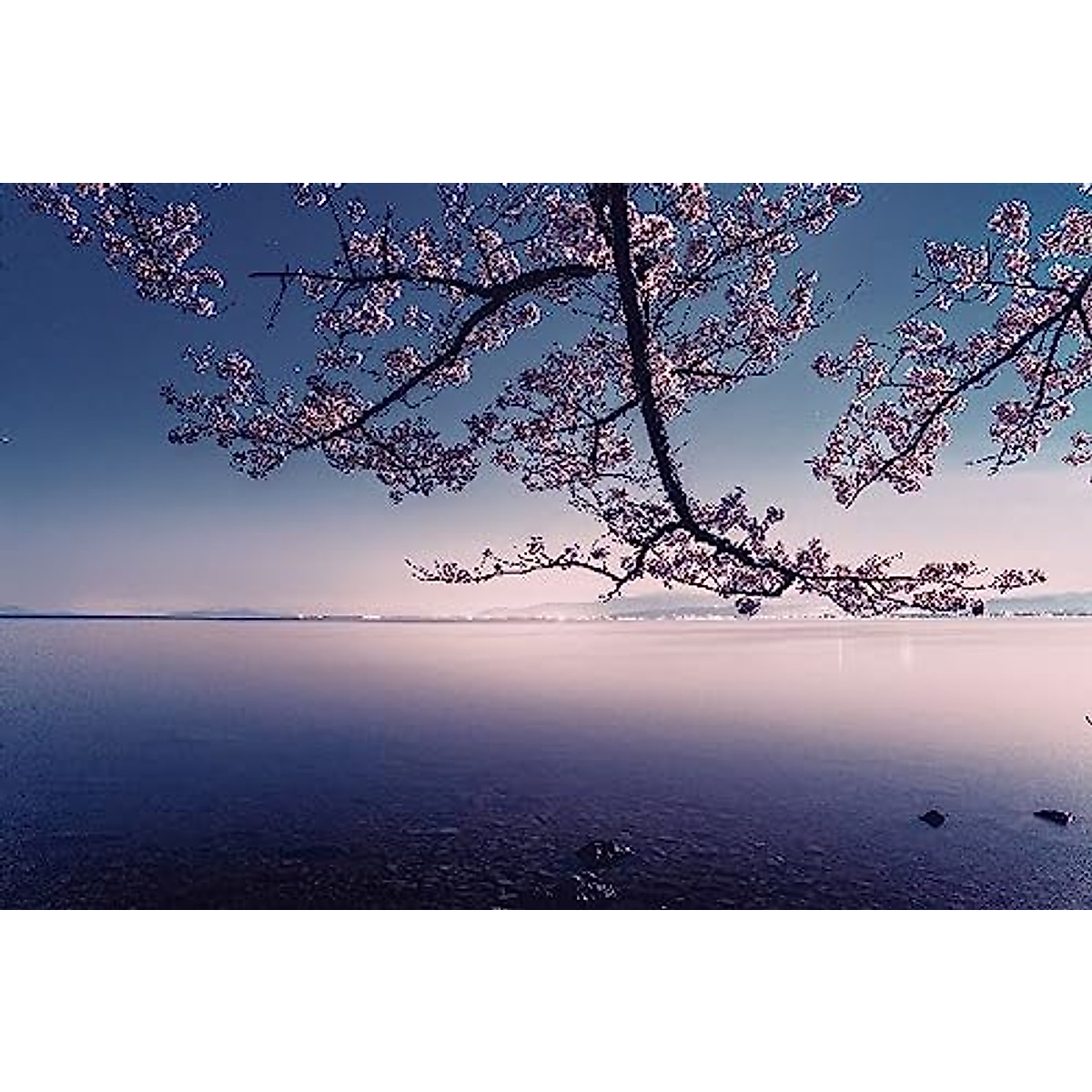 Stamped Cross Stitch Kits,Cherry Blossom Trees on The Sea Needlepoint Counted Cross Stitch Kits for Adults Beginners Stamped Kits Needlecrafts for Home Wall/20x24 inch