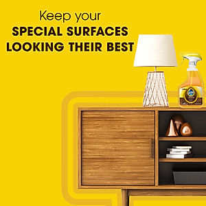 Pledge Wood Oil, Expert Care, Trigger, Orange Scent, 16 oz. (Pack of 4)