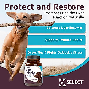 K9 Select Milk Thistle for Dogs, 100mg - 60 Vegetable Capsules - Canine Liver Health Milk Thistle Supplement - Liver Supplement - Liver Support Supplement - Milk Thistle Herbal Supplements