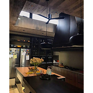 Matthews PA3-BRBR-WA-60 Patricia Indoor/Outdoor Damp Rated 60" Ceiling Fan with LED Light and Remote & Wall Control, 3 Walnut Solid Wood Blades, Brushed Brass