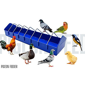 Pigeon Feeder,2pcs Birds Poultry Chicken Duck Parrots Large Feeder Bowl, Thick Durable Slot Container Feeding Dish Food Dispenser Tool