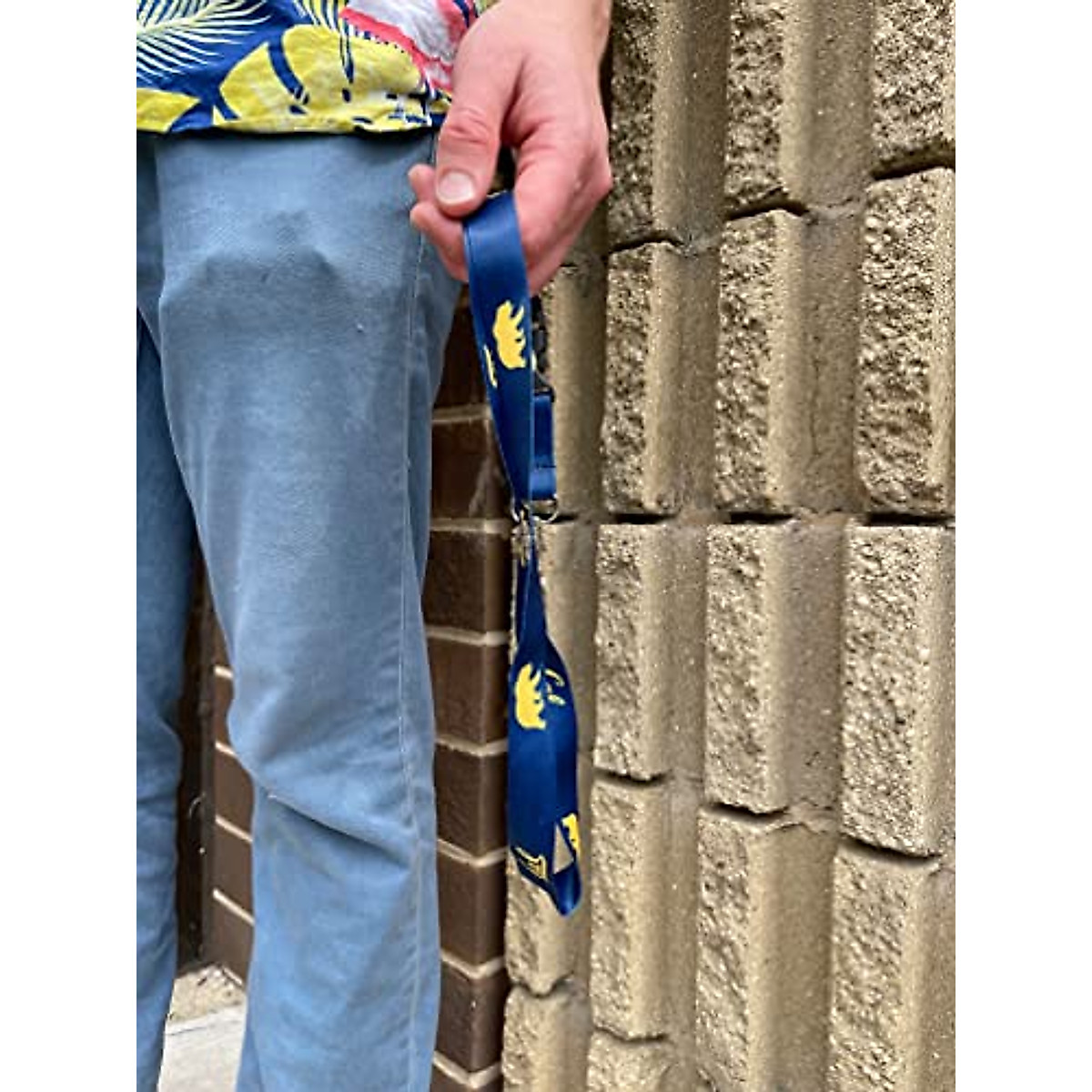Desert Cactus University of California Berkeley Golden Bears Cal UC Car Keys ID Badge Holder Lanyard Keychain Detachable Breakaway Snap Buckle (Blue CAL)