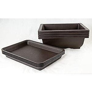 Calibonsai 4 Sets Rectangular Plastic Bonsai Training Pot, Cactus & Succulent Planter + Tray 10''x 7.5''x 3'' - Dark Brown