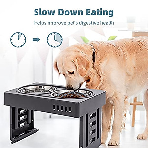 Jaoul Slow Feeder Dog Bowls Insert, Puzzle Slow Feeder with 51 Octopus Suction Cups for Medium Large Size Dog Bowls Over 6.5" Wide (Grey)