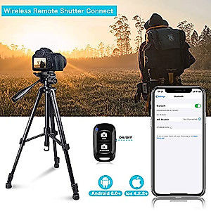 Torjim 60” Camera Tripod with Carry Bag, Lightweight Travel Aluminum Professional Tripod Stand (5kg/11lb Load) with Wireless Remote for DSLR SLR Cameras Compatible with Phone-Black