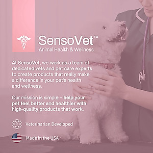 SensoVet Wrinkles, Skin & Paw Grooming Wipes for Dogs - Natural Aloe Vera & Oatmeal (60 Large Wipes)