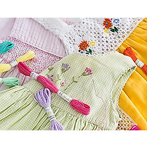 Premium Rainbow Color Embroidery Floss - Cross Stitch Threads - Friendship Bracelets Floss - Crafts Floss - 116 Pcs - 105 Skeins Per Pack and Set of 10 Embroidery Needles and 1 Threader