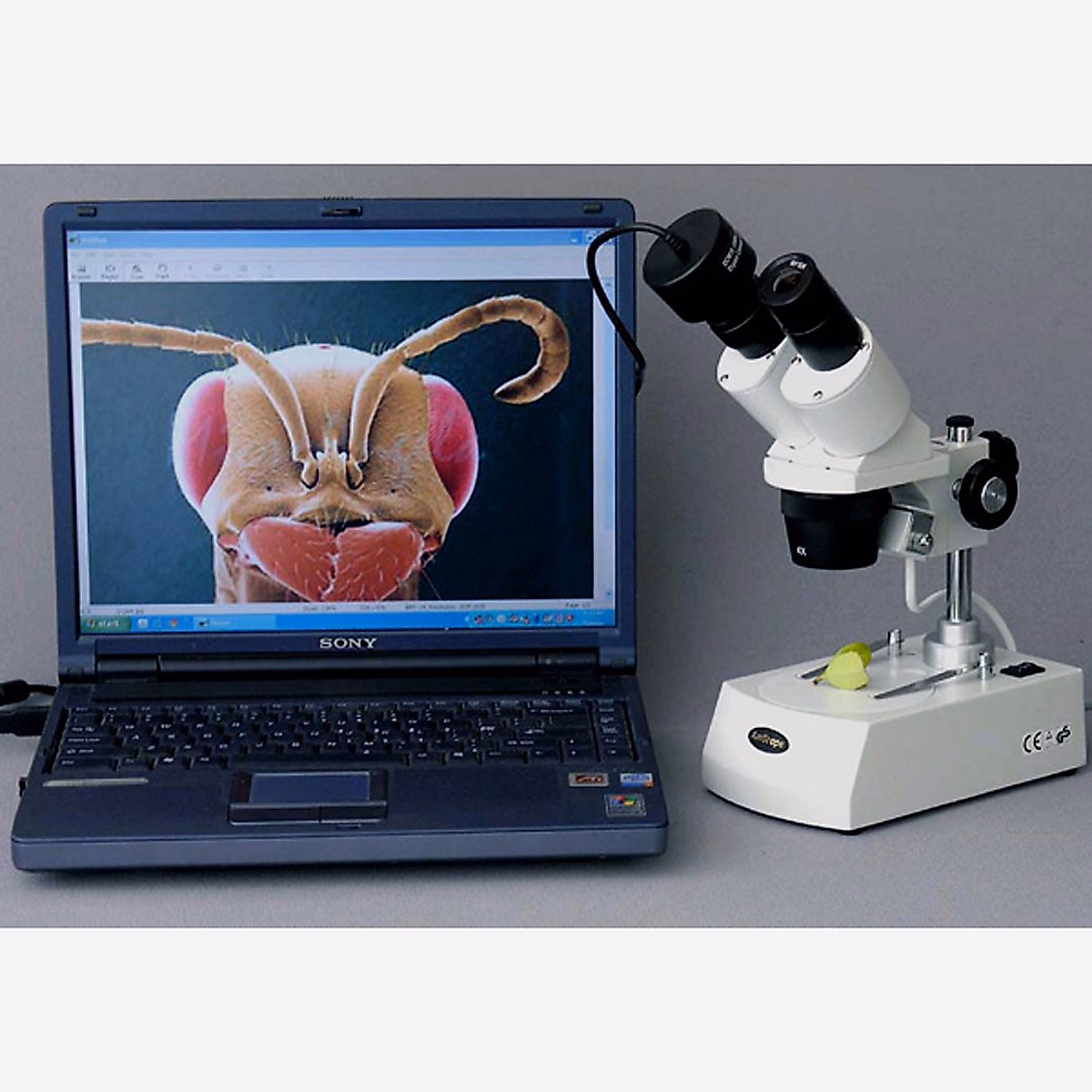 AmScope SE306R-PZ-3M 20X-40X-80X Forward Stereo Microscope + 3MP Digital Camera