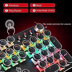 K820 Retro Steampunk Gaming Mechanical Keyboard-Blue Switch-RGB LED Backlit Illuminated Keyboard,USB Wired,Typewriter-Style,Plating 104 Key Round Keycaps,for Game and Office,for Laptop Desktop (Black)