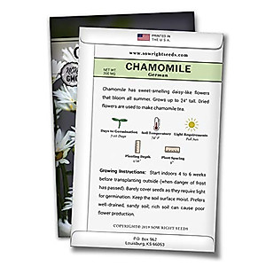 Sow Right Seeds - Chamomile Seed Collection for Planting - German and Roman Varieties - Non-GMO Heirloom Seeds - Instructions to Grow an Herbal Tea Garden - Wonderful Gardening Gift