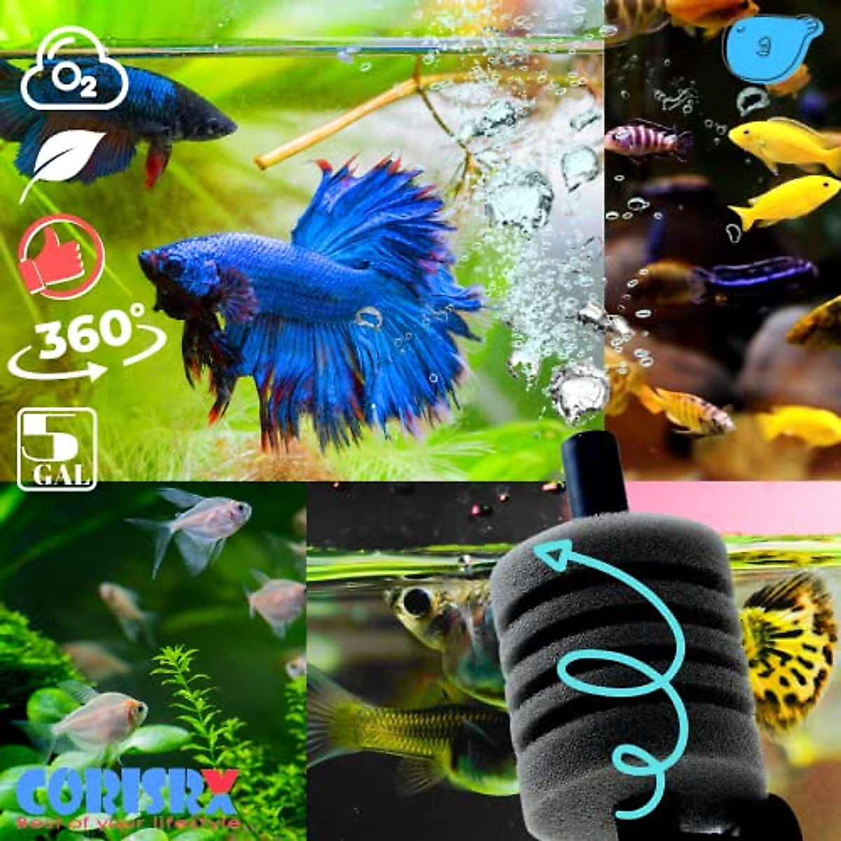 Aquarium Sponge Filter Luxury Set for Breeding Fry, Fish Tank Fine Small Sponge Filter up to 10 Gallon, Fish Tank Mini Bio Foam Filter for Betta Shrimp (2x Mini Sponge Filter)