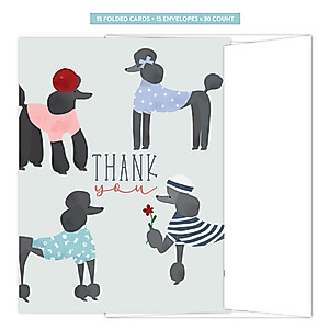 Koko Paper Co Black and Blue Standard Poodles Thank You Cards | 15 Folded Cards and 15 Bright White Envelopes (30 Count Total) | Printed on Heavy Card Stock.