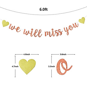 Rose Gold Glitter We Will Miss You Banner--Retirement Party Decorations Sign-Going Away Party Decor-Farewell Party Decorations-Office Work Party Decorations