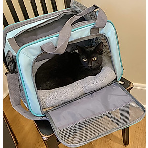 PETLESO Small Cat Bed Plush Cat Cushion, Small Cat Beds for Indoor Cats Fluffy Cat Mat for Small Cat Curl Sleep for Crate Carrier, Small 15" x 10"