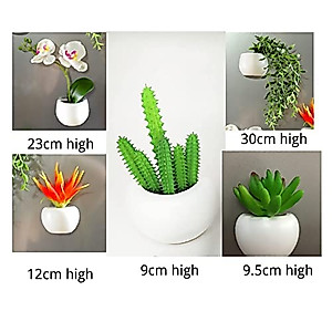 Fridge Magnet Plant Magnets Succulent Magnets Artificial Plants Refrigerator Magnets Fake Succulents Whiteboard Magnet Strong Magnetic Fridge Decoration Magnet for Home Kitchen Decoration (A)