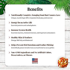 LAFEBER'S Tropical Fruit Nutri-Berries Conure Food, Made with Non-GMO and Human-Grade Ingredients, for Conures (Tropical Fruit 10 oz)