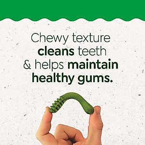 Greenies Puppy Petite Size Natural Dental Dog Treats, 6 oz. Pack (10 Treats)