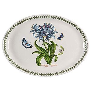 Portmeirion Botanic Garden 13" Oval Steak Platter