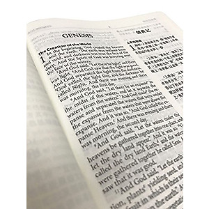 Bilingual English Chinese Holy Bible / English Standard Version - Revised Chinese Union Version, Simplified Chinese / ESV/RCUV / Blue Pearl Vinyl with Golden Edges, Maps, Large Chinese Characters