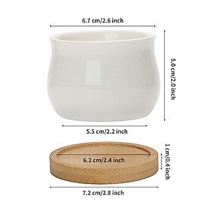 ZOUTOG 12 Pack Succulent Pots, 2.6 Inch Mini Ceramic Pots for Flower or Cactus with Drainage Hole, Small Pots for Plants, Plants Not Included