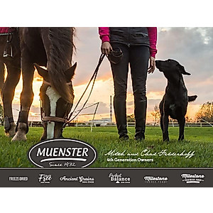 Muenster Grain Free with Salmon – Dry Dog Food or Mixer with Fish Protein - Complete and Balanced Kibble for Large, Medium or Small Breed Dogs, 4 lb