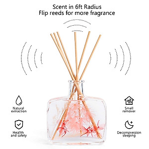 Reed Diffuser, Reed Diffuser Set, Scented Oil Diffuser wirh 6 Diffuser Sticks, Dried Flowers in The Bottle, Home Fragrance Room Office Decor, Birthday Gifts for Women