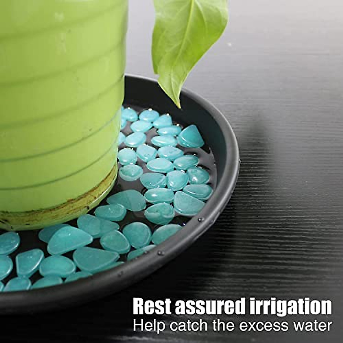 Lechay Black Plant Saucer for Indoors,3 Pack 12inch Plastic Flower Plant Pot Saucer, Plastic Plant Saucer Drip Trays for Indoor and Outdoor Plants(3)