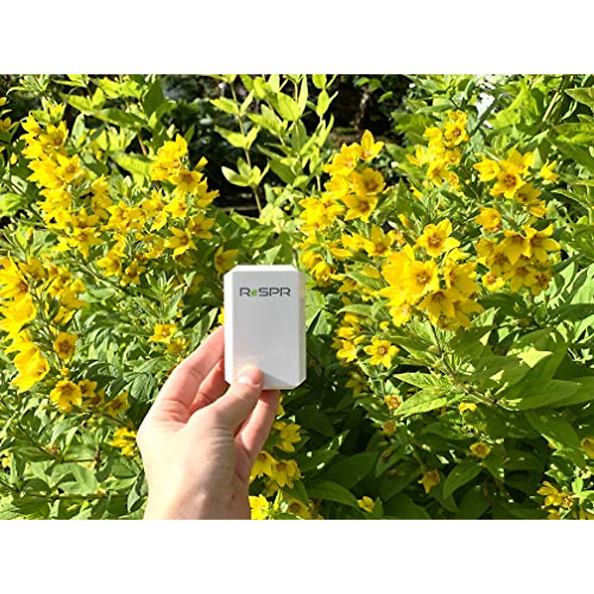 ReSPR SeLF Wearable Personal Ionizer Air Purifier for Indoor and Outdoor Use- Rechargeable, Proprietary Ionizing Technology - Includes Necklace Lanyard