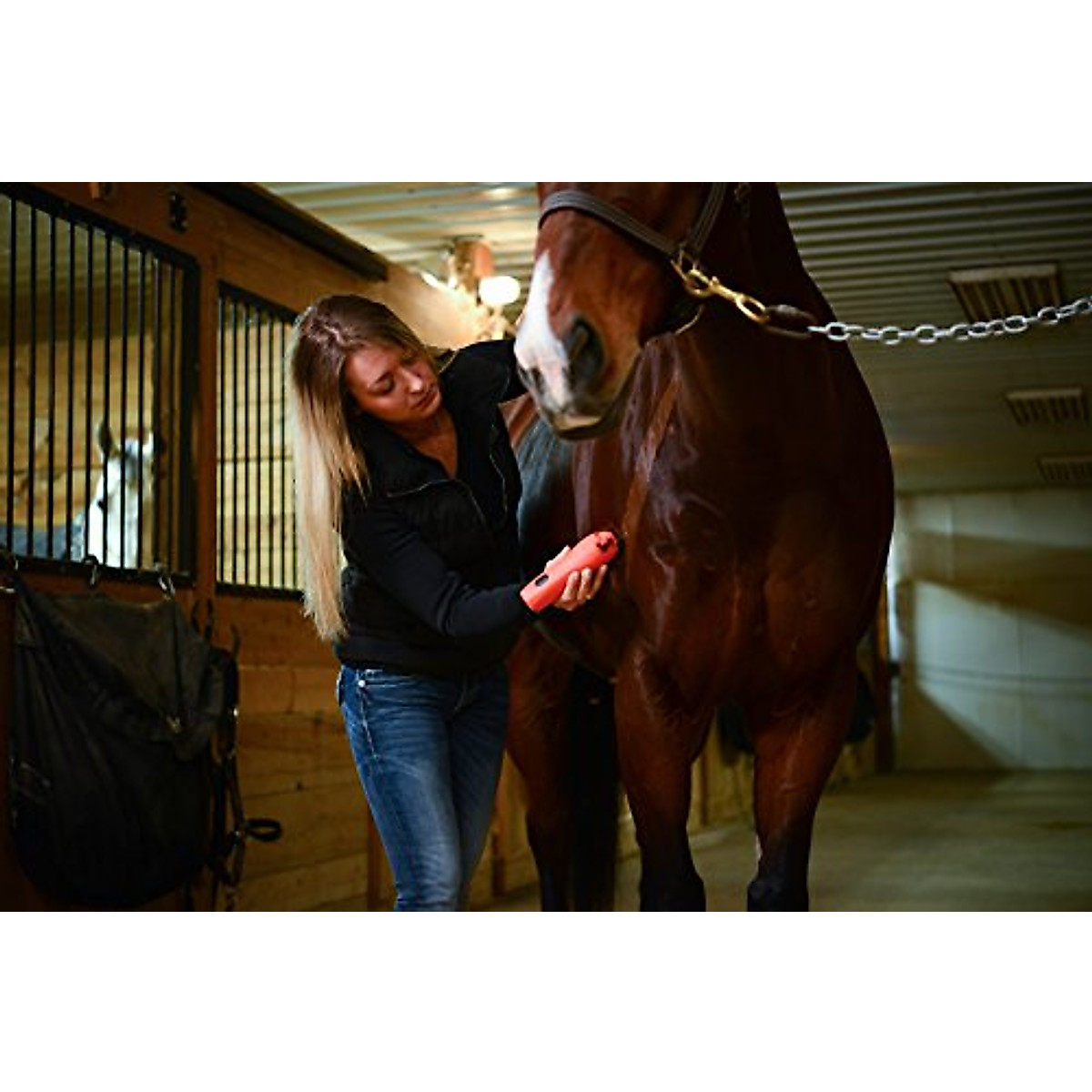 WAHL Professional Animal KM Cordless 2-Speed Detachable Blade Pet and Dog Clipper Kit, Poppy (#9596-200)