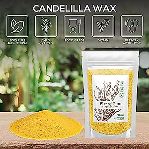 Candelilla Wax Pellets 8 oz. 100% Pure Natual Food Grade Vegan Wax For DYI Lip Balm, Soap and Candle Making, Creams and Lotions. Great For Skin, Face, and Hair applications. Beeswax Alternative