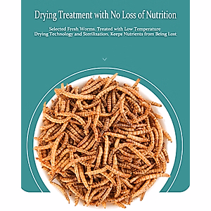 Reptile Food Dried Mealworms Pet Worms Food for Bearded Dragon, Lizard, Turtles, Chameleon, Monitor, Frog, Sugar Glider, Chickens, Birds, Hamsters and Hedgehogs (3.5 OZ)