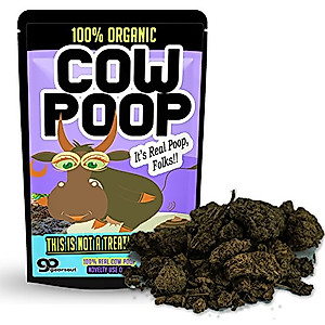 Gears Out Real Cow Poop Funny Easter Basket for Adults Weird Teen April Fools Pranks Silly Stocking Stuffers Crazy for Men White Elephant Manure Joke