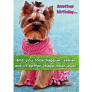 Designer Greetings Yorkshire Terrier : Happier, Sexier, Better Shape Funny : Humorous Dog Risque Feminie Birthday Card for Her : Woman : Women