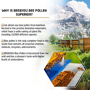 Bee and You - 100% Raw Pure Bee Pollen Granules, Amino Acids, Antioxidants, Enzymes, Vitamin B, Paleo, Keto Friendly, Gluten Free, Natural Superfood & Bee Pollen Supplement | 5 Oz Bag