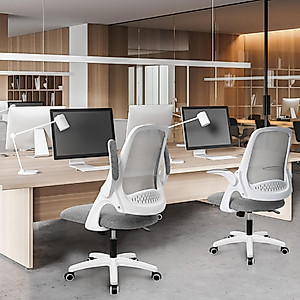 NEO CHAIR Ergonomic Office chair Gaming Desk Computer Chair with Adjustable Height Comfy Lumbar Back Support Flip-Up Padded Armrests and Wheels for Home Office Vanity (Grey)