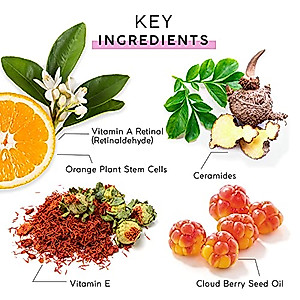 MyChelle Dermaceuticals Remarkable Retinal Serum (1 Fl Oz) - Anti Aging Serum with Potent Vitamin A and Plant Stem Cells to help Reduce Appearance of Fine Lines and Wrinkles